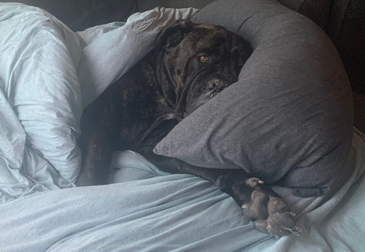 Get Up & Running with Tailwind and Node.JS | by Matt Brice | JavaScript in Plain English