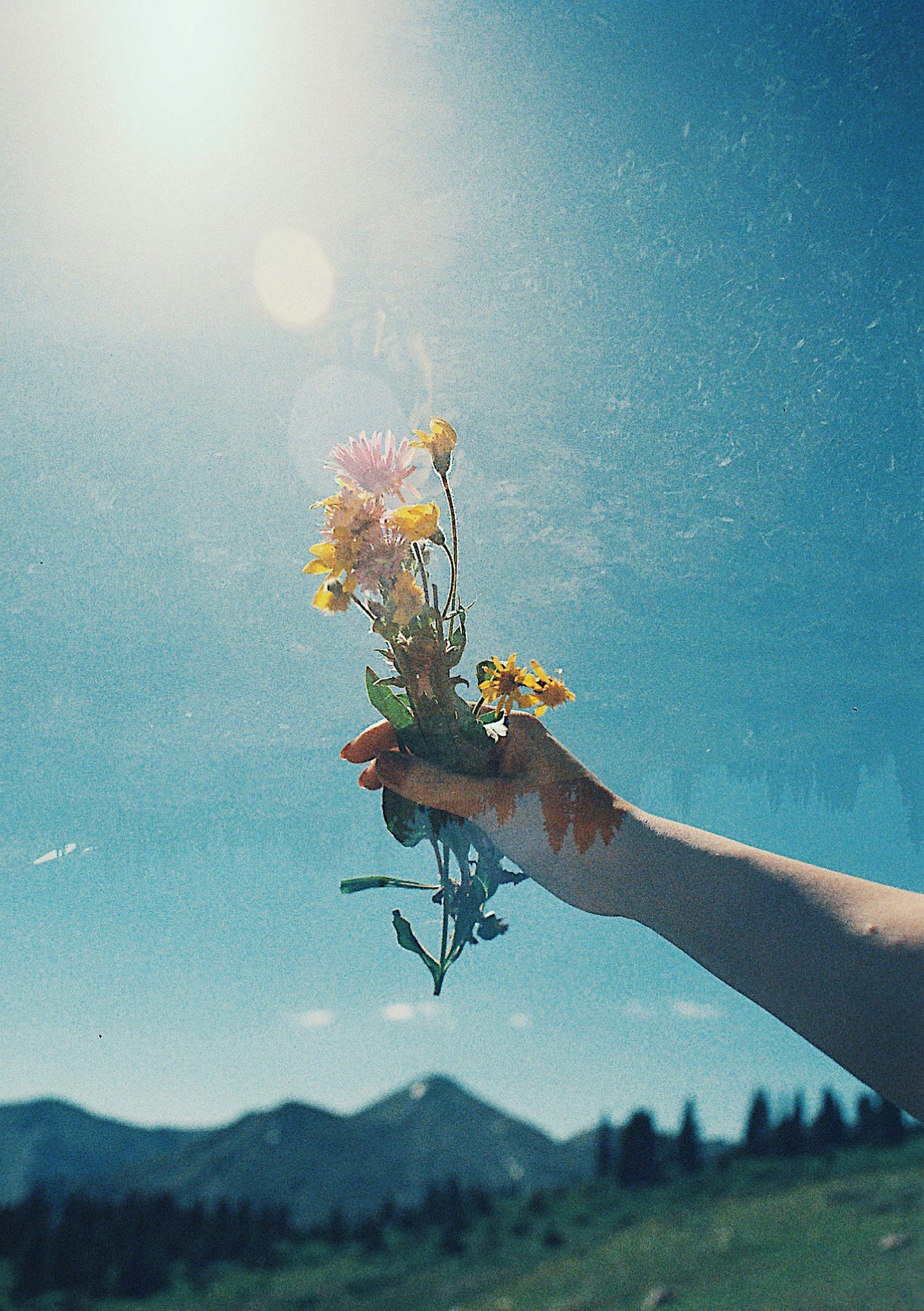 Medium Daily Digest. A pleasant surprise comforting my faith… | by ...