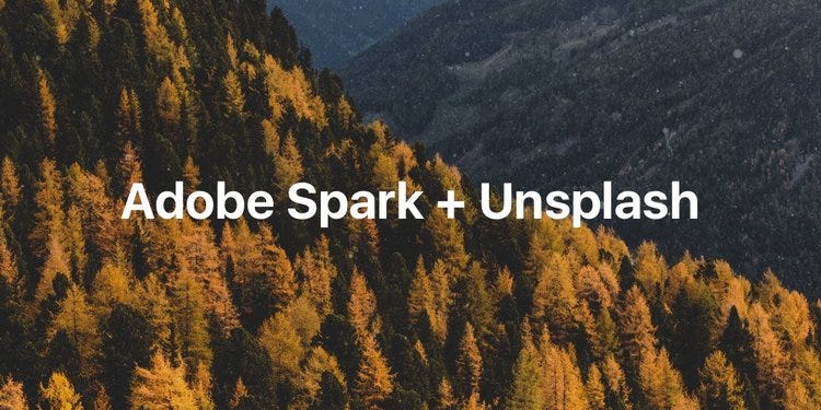 📸 Unsplash’s API. Use the world’s most powerful photo… | by Stephanie ...