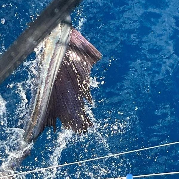 Fort Lauderdale Charter Boats: The Ultimate Fishing Experience | by ...