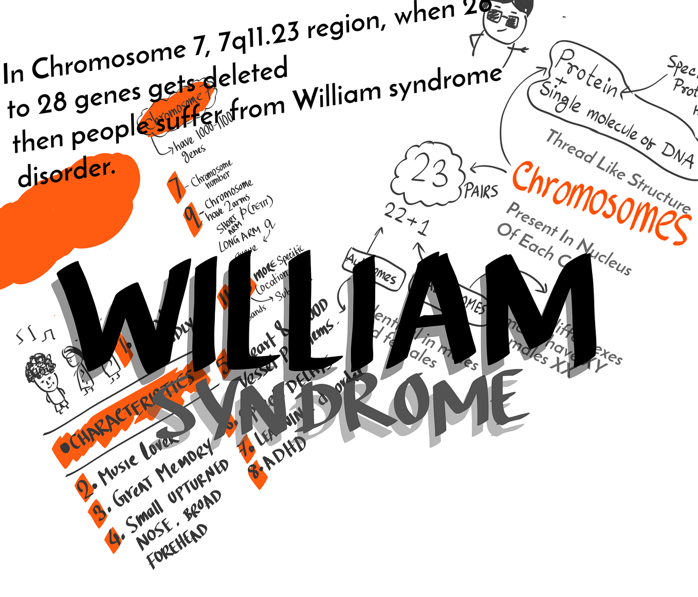 How To Install Python. Install Python, Difference Between… | by Talking ...
