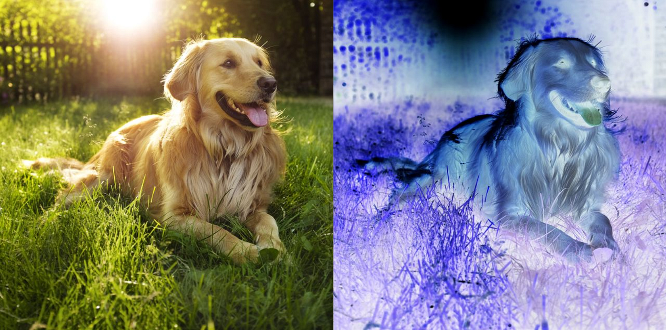 2d Discrete Wavelet Transformation And Its Applications In Digital Image Processing Using Matlab