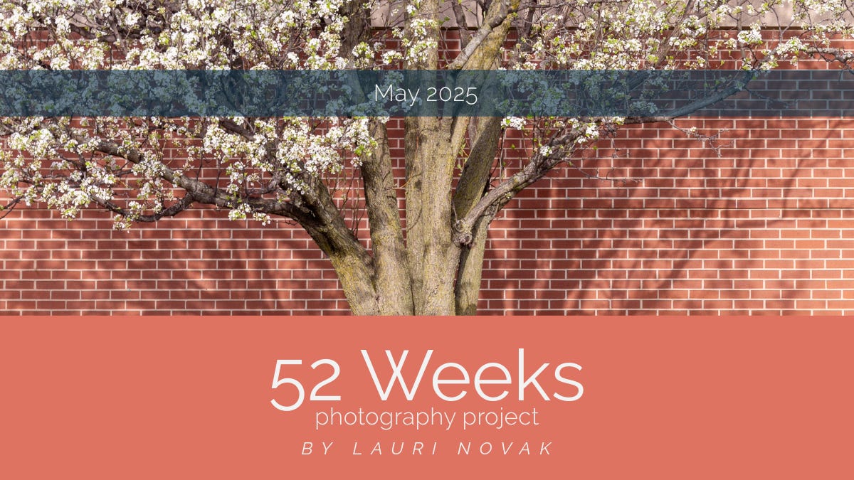 Welcome to the project! You're off to a great start! - Lauri Novak - Medium