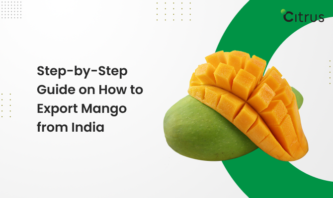 Reefer Container and its Importance in Fruit and Vegetable Exports | by ...