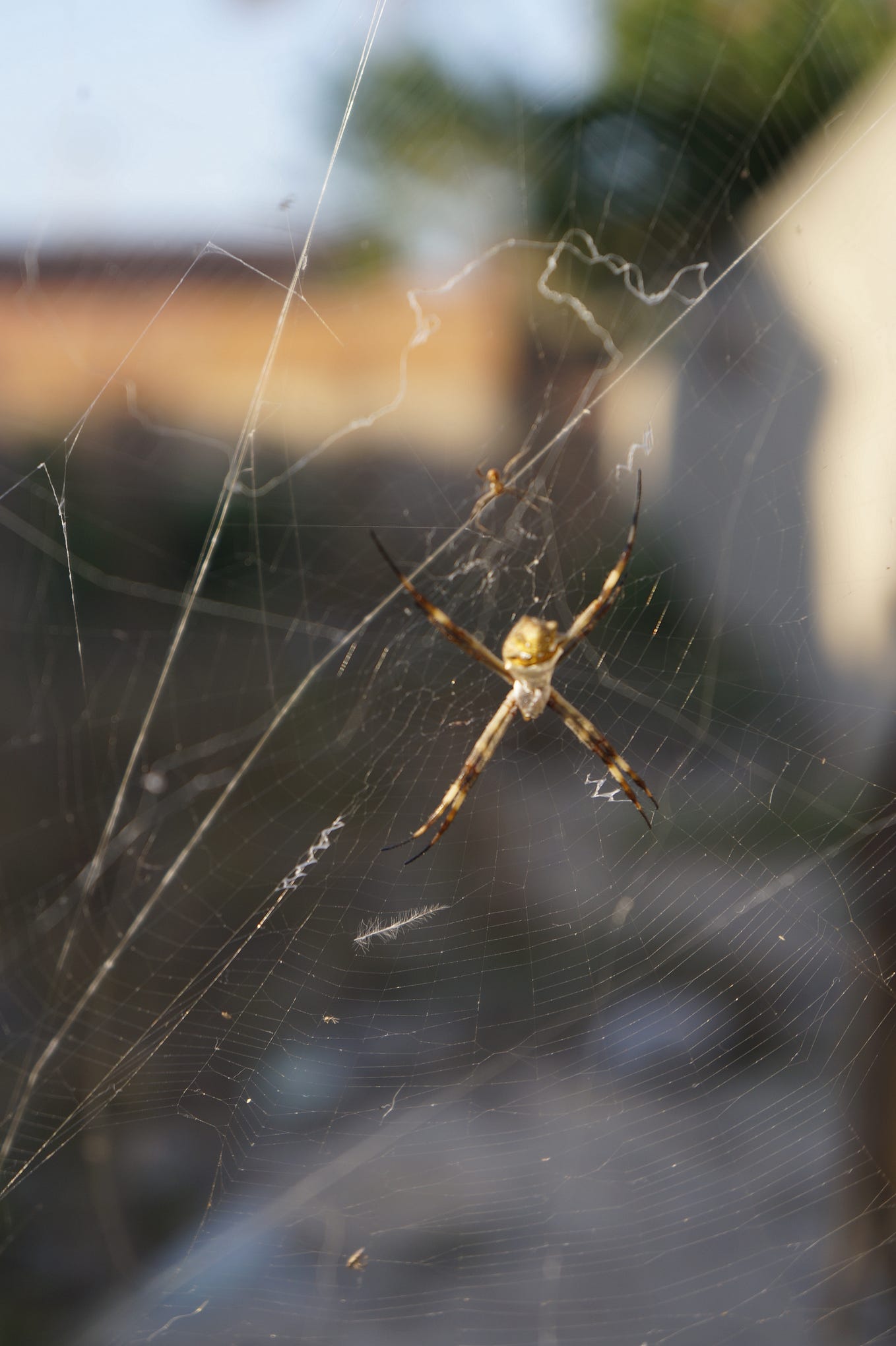 Developing Photography: A Programmer’s Journey with a Camera — Part 2 ...
