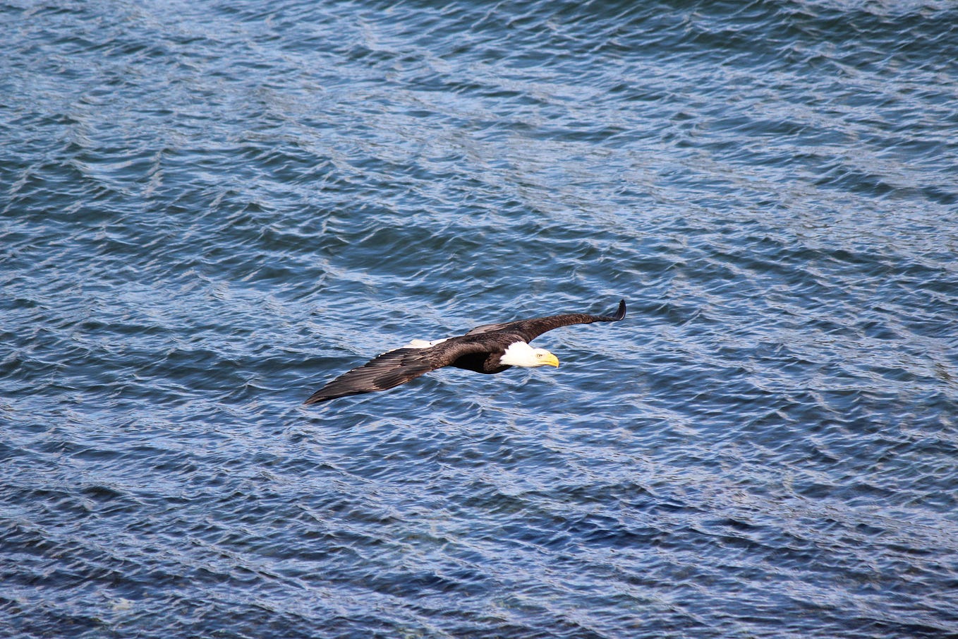 How to Onboard Successfully as a Product Manager | by Laura Reitzel ...