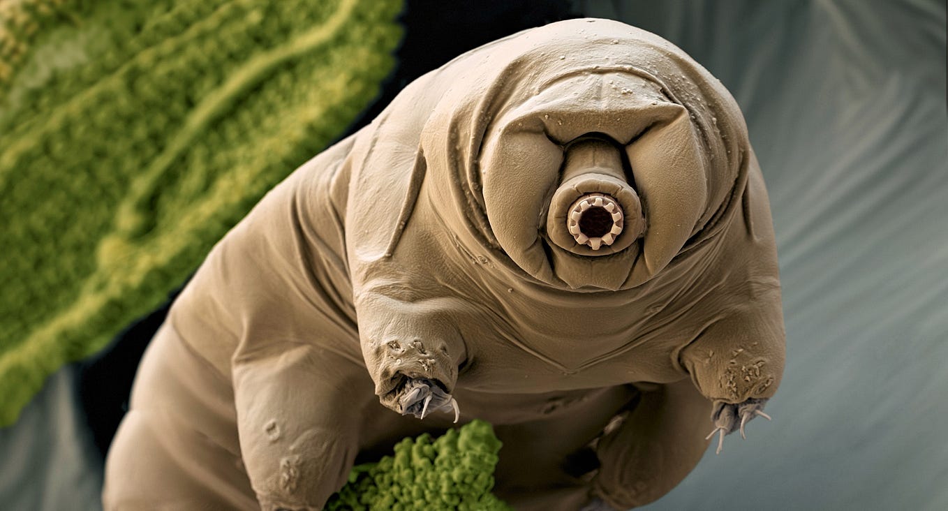 Episode 15: Which Animal Has the Stinkiest Farts? | by Greenpeace USA ...