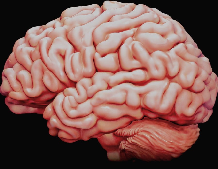 How to write a quantum program in 10 lines of code (for beginners) | by ...