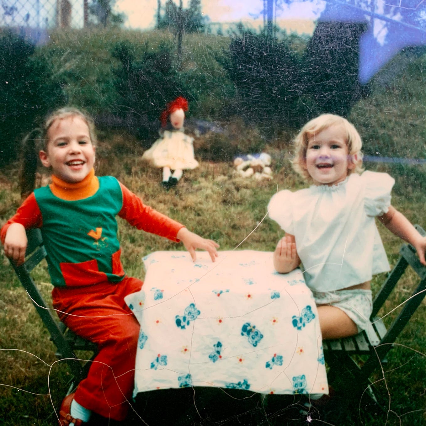 Finding Hope in a Forest’s Rebirth | by Chrissy Boyd Miller ...