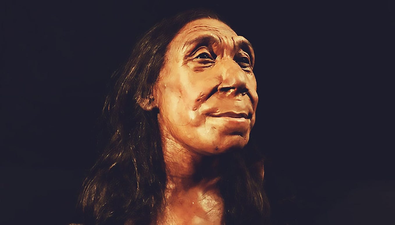 The AI Breakthrough That’s Changing How We Study Fossils — Faster and ...