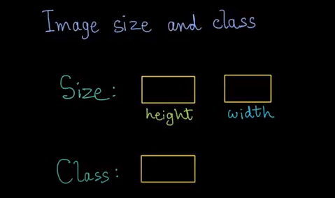 Introduction to Image Processing with Python | by Erika Lacson | Python ...
