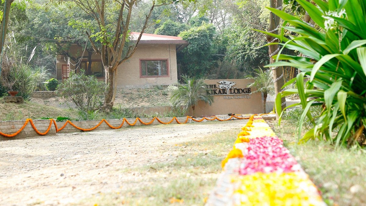 Private forest Retreat- The Kikar Lodge - Kikar Lodge - Medium