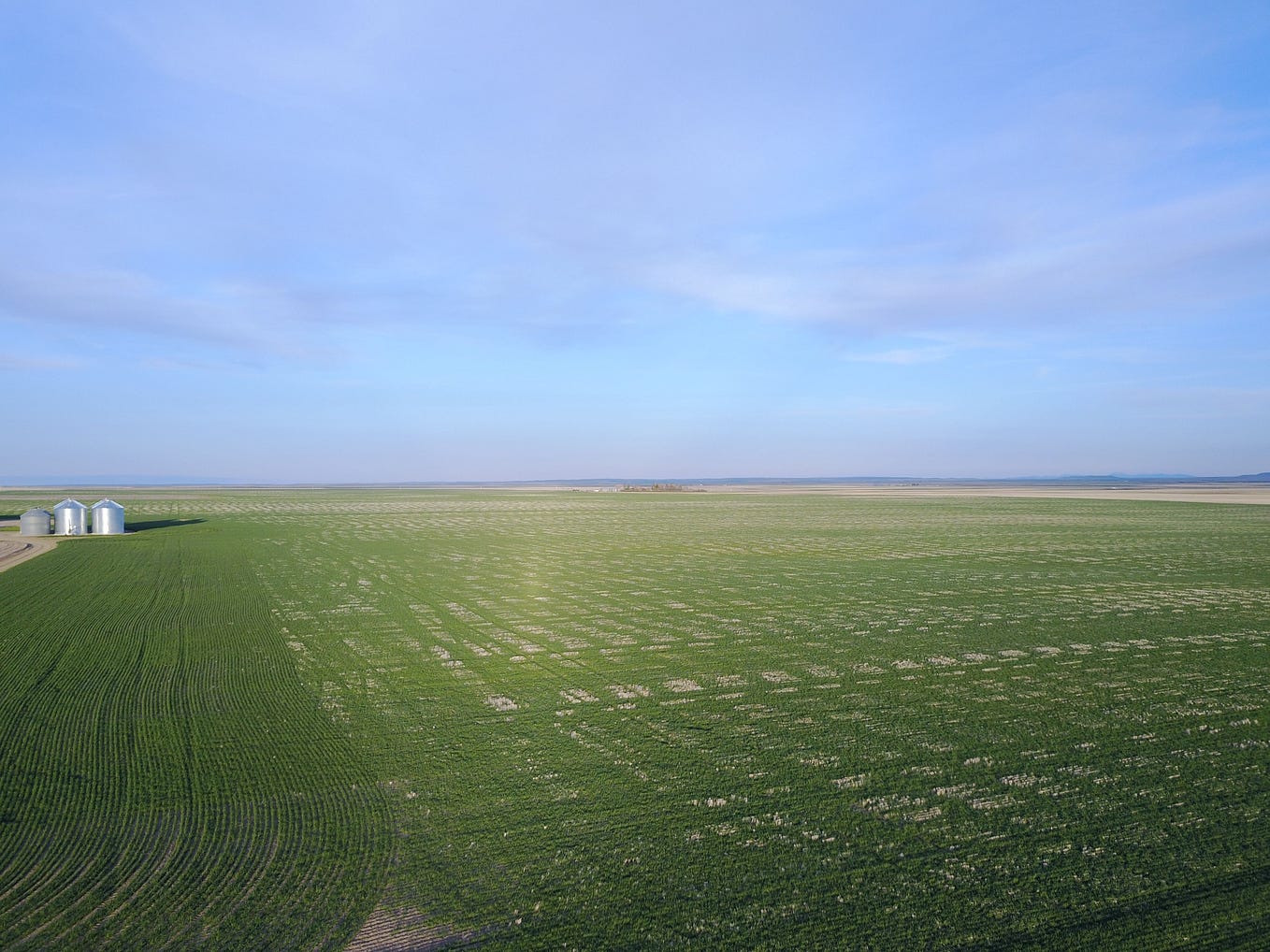 Getting started with farm analytics (free harvest tracking template ...