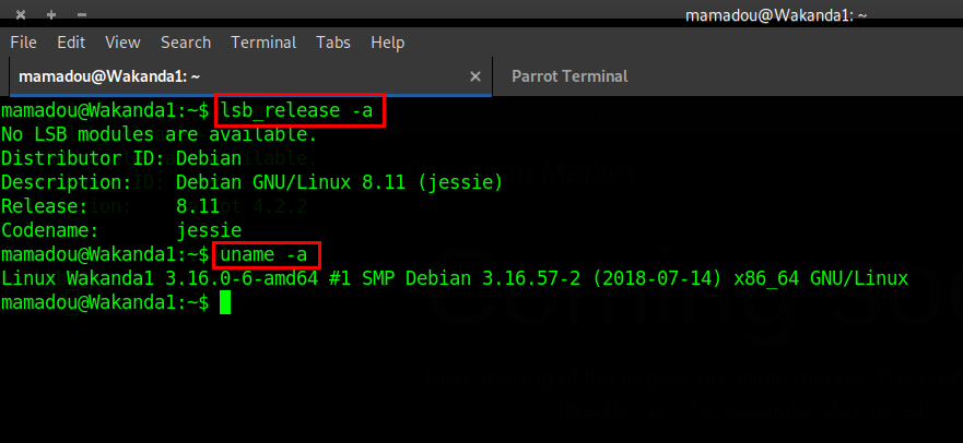 Linux — Buffer Overflows. A simple C program was for… | by Sigkilla | Medium
