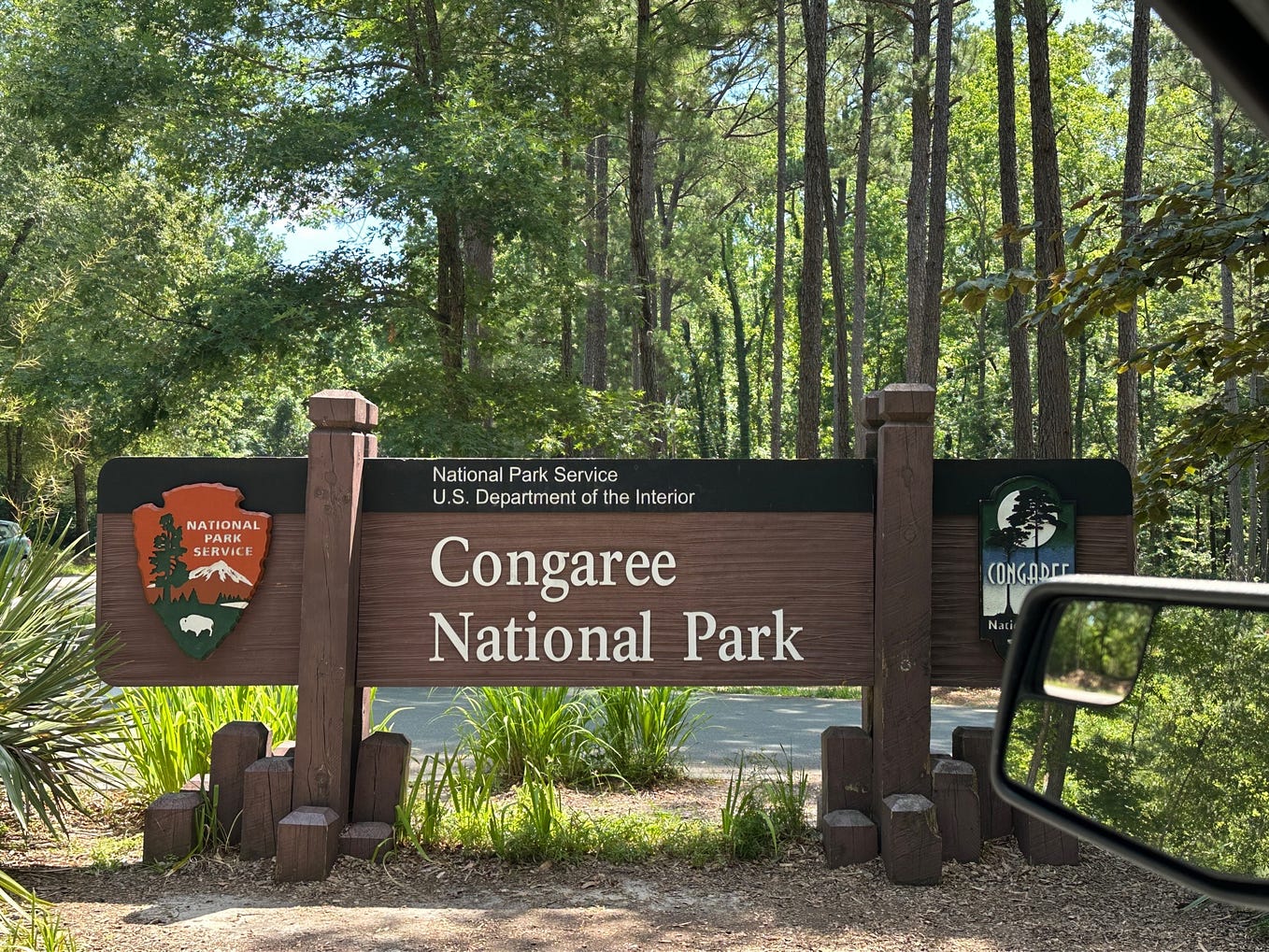 Tales from the Street. Joe Whetstone and the Buckeye Bush. | by Doug ...