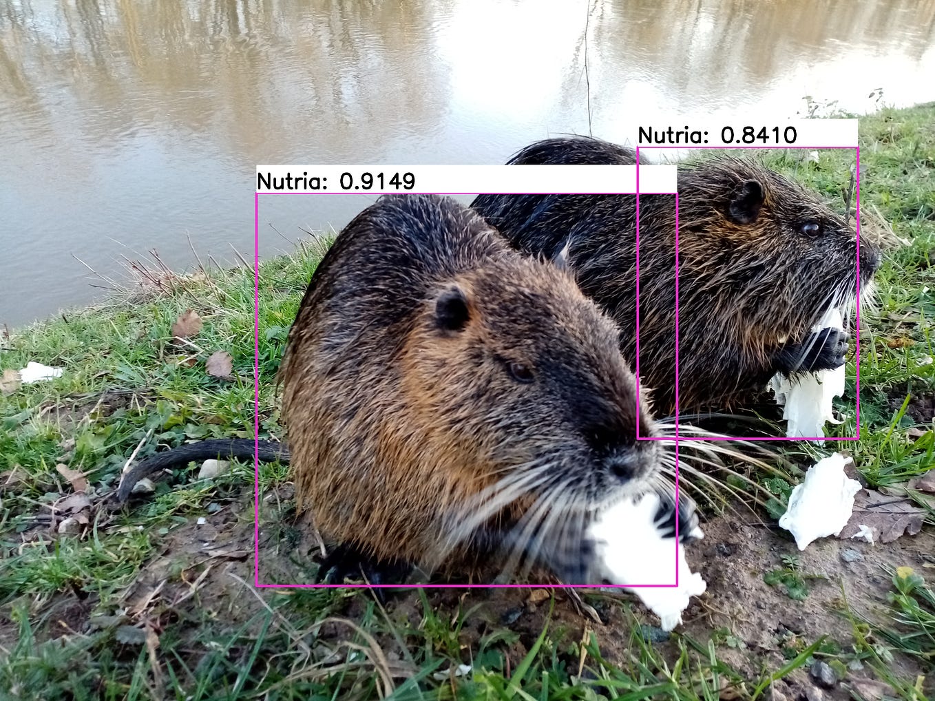 Object detection with TensorFlow on Raspberry Pi | by Elenche Zététique ...