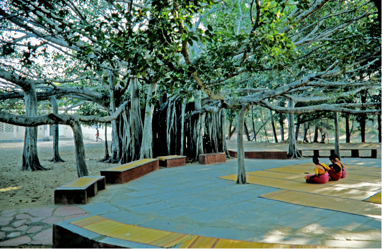 Tree of Prayers. Just three years ago, in preparation… | by Stephen ...