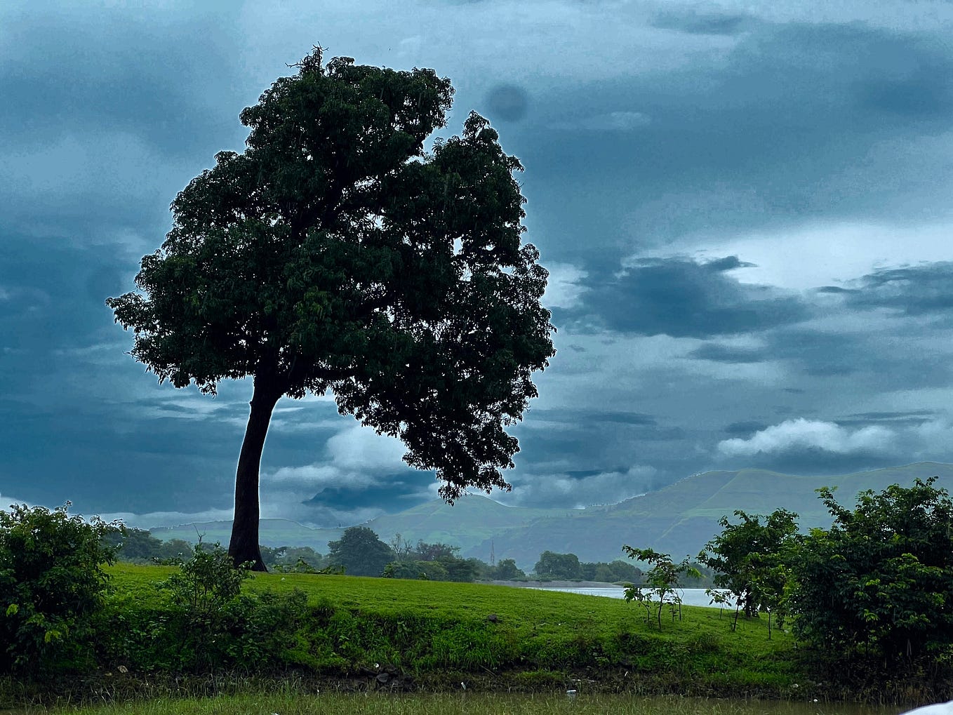 using TKinter menu created. //codes | by Sanjeev Ranjan | Medium