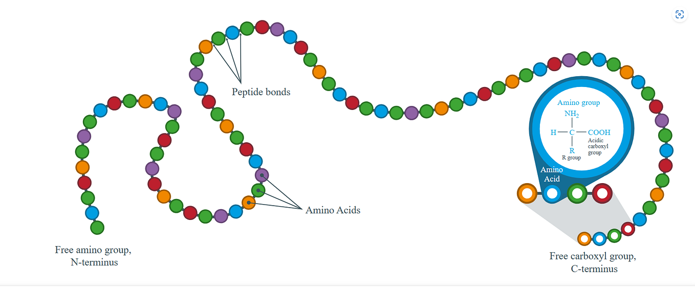 Unveiling the Protein Deficiency Challenge in India: A Closer Look at ...