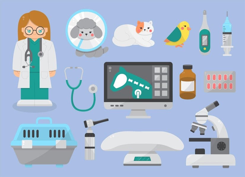 Enhancing Pet Health: Exploring Essential Veterinary Equipment - Equip4 ...