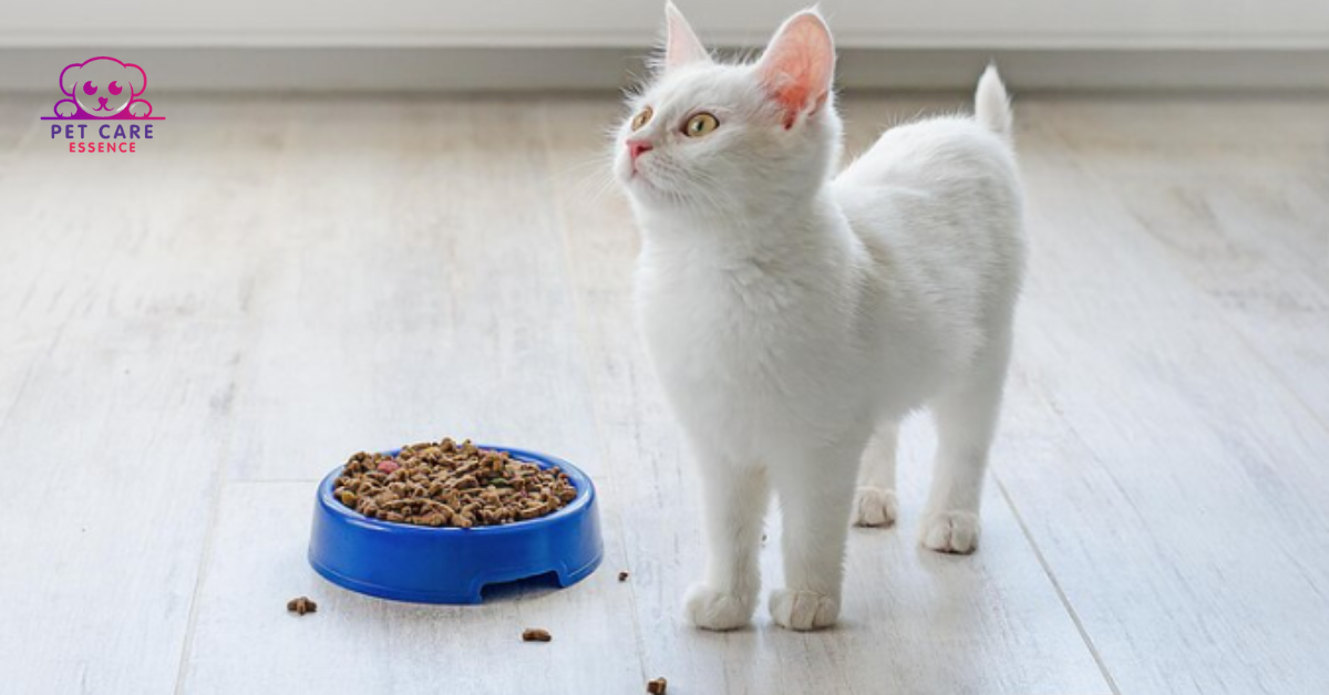 Exploring the World of Rare Cat Breeds 2024 | by Petcareessence | Apr ...