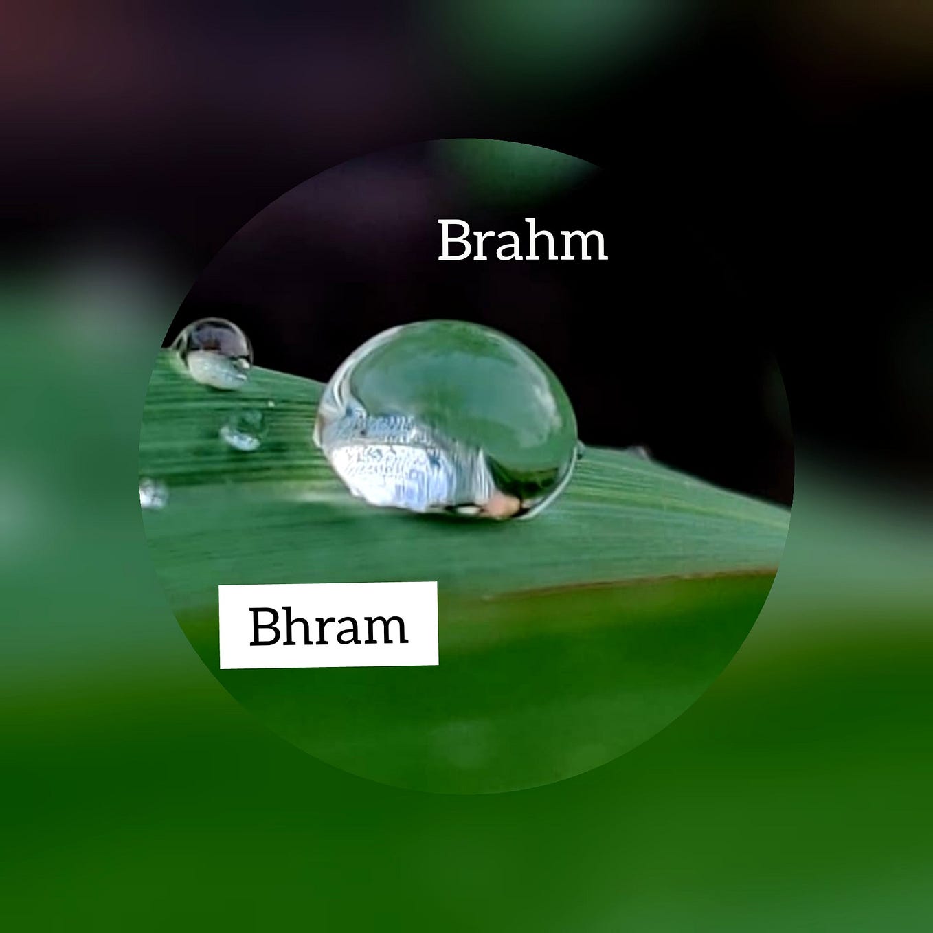 Gravity or Gurutvakarshan. On Guru Poornima (a day dedicated to… | by ...