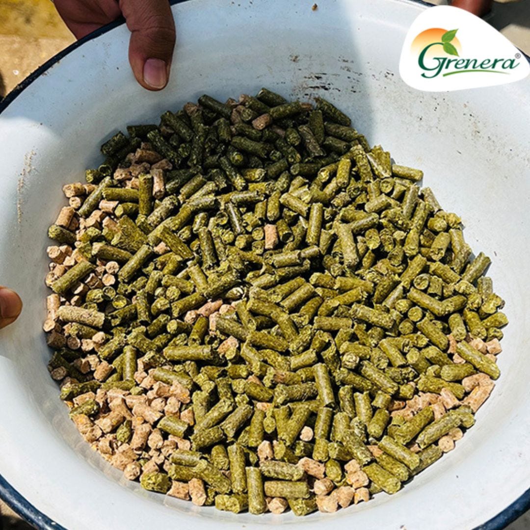 Can I Mix Moringa Powder With Milk - grenera seo - Medium