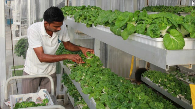 5 Reasons Why We Should Respect Farmers | by 8villages | Medium