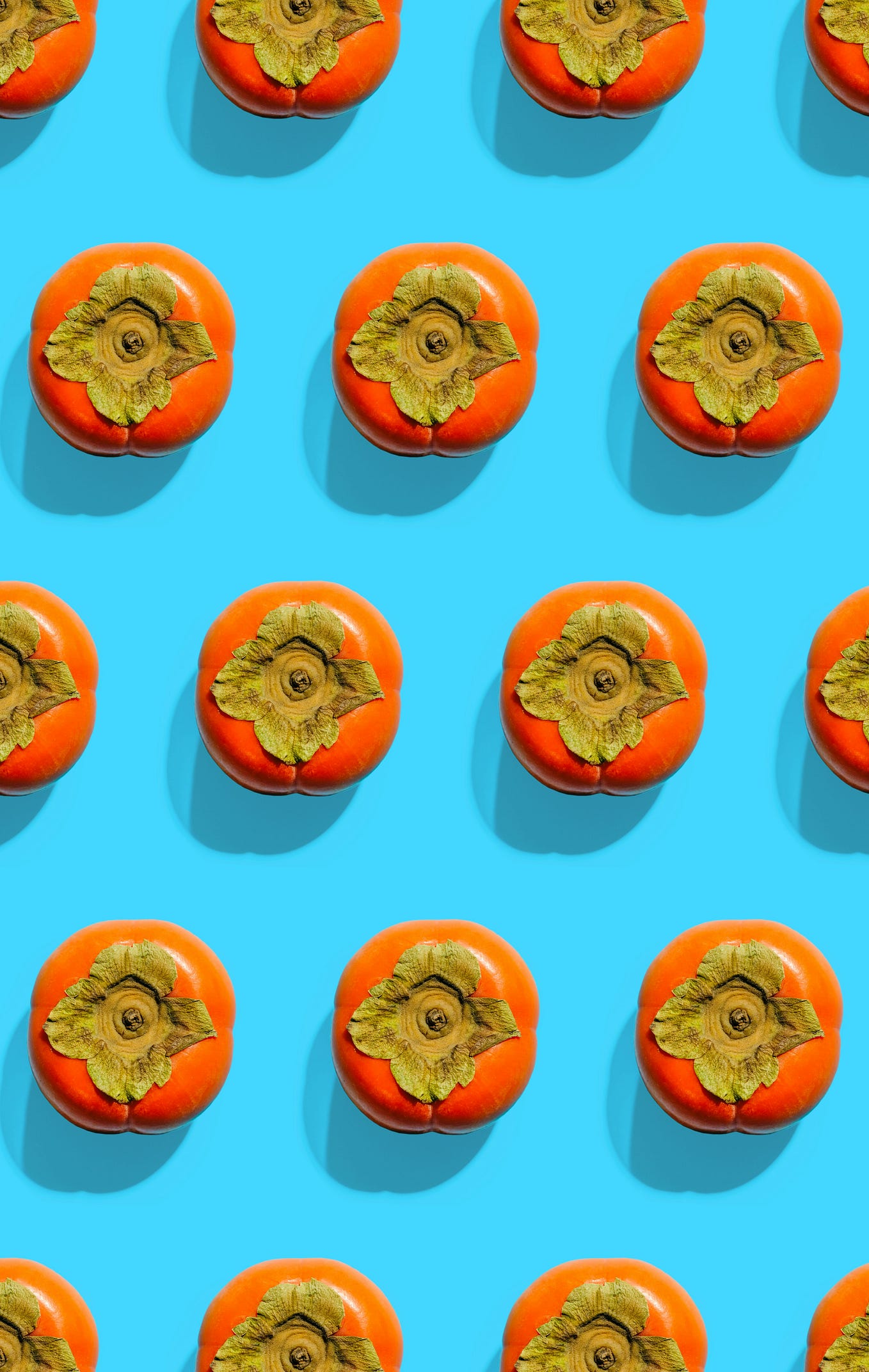 Guide: Creating and Computing Vectors Using Python | by Ayo Akinkugbe ...