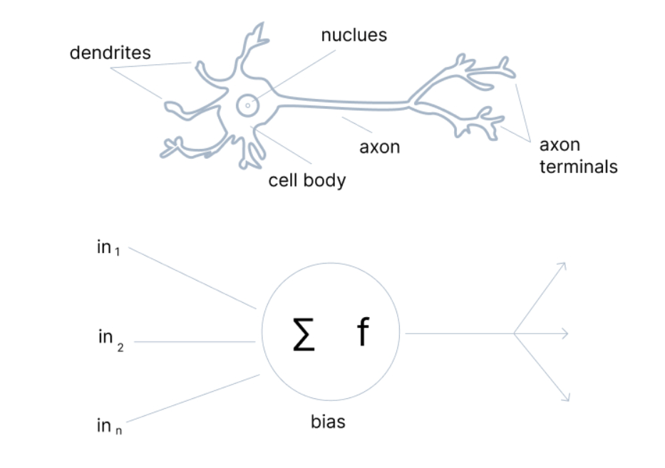 A beginner’s guide to NumPy with Sigmoid, ReLu and Softmax activation ...