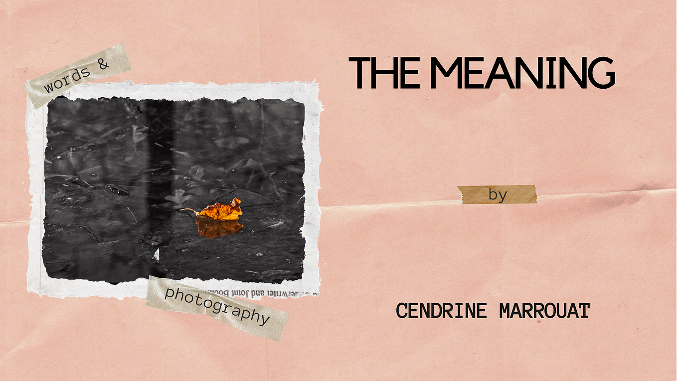 Interview with Artist Kallie Marie | by Cendrine Marrouat ...