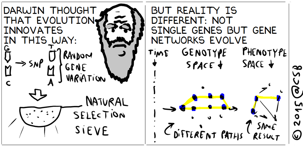 singularity | by Comic Strip Blogger | Medium