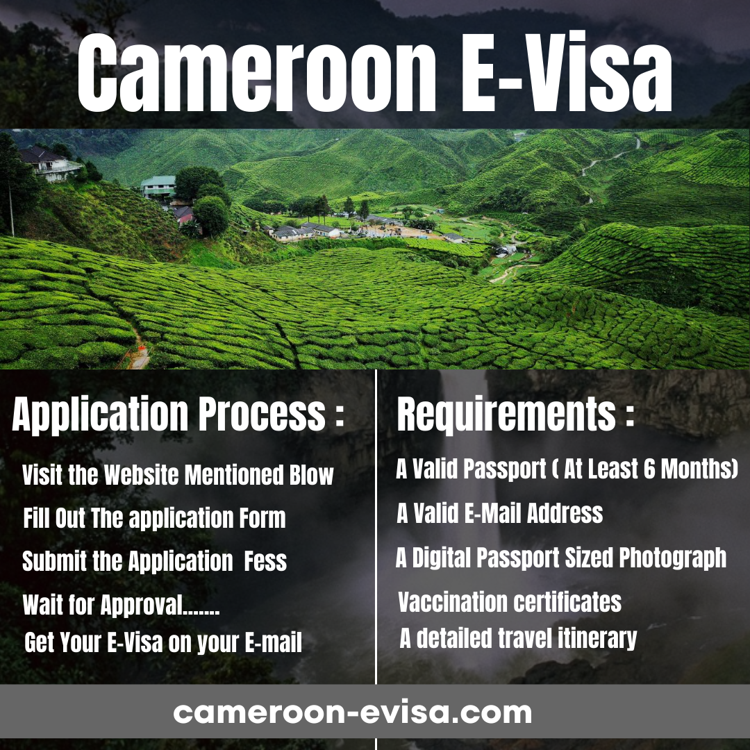 Cameroon E-Visa Application Process for Angola Citizens - cameroonevisa ...