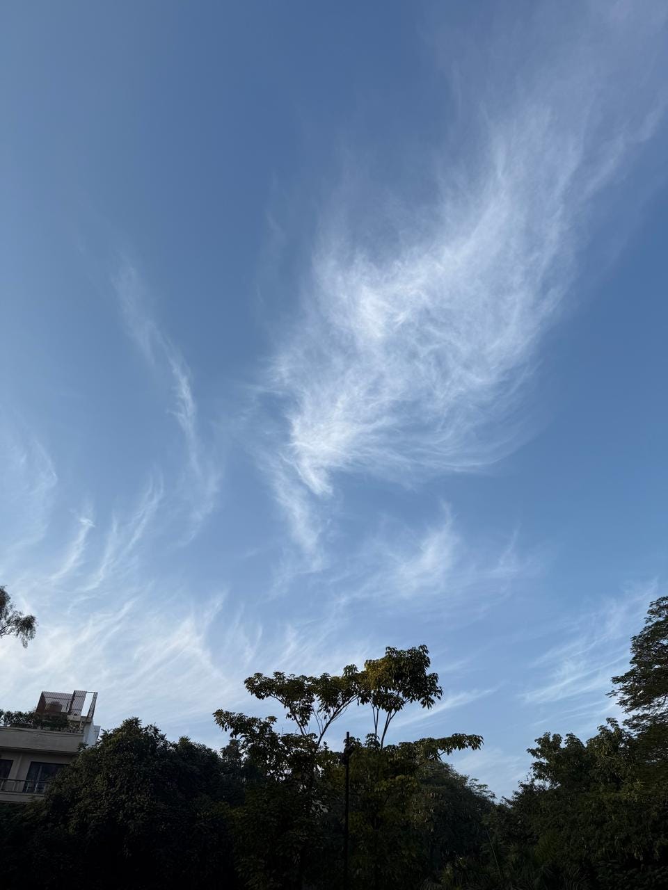 Who am I? 5 Photos That Represent Me | by Trisha Faye | Good Vibes Club ...