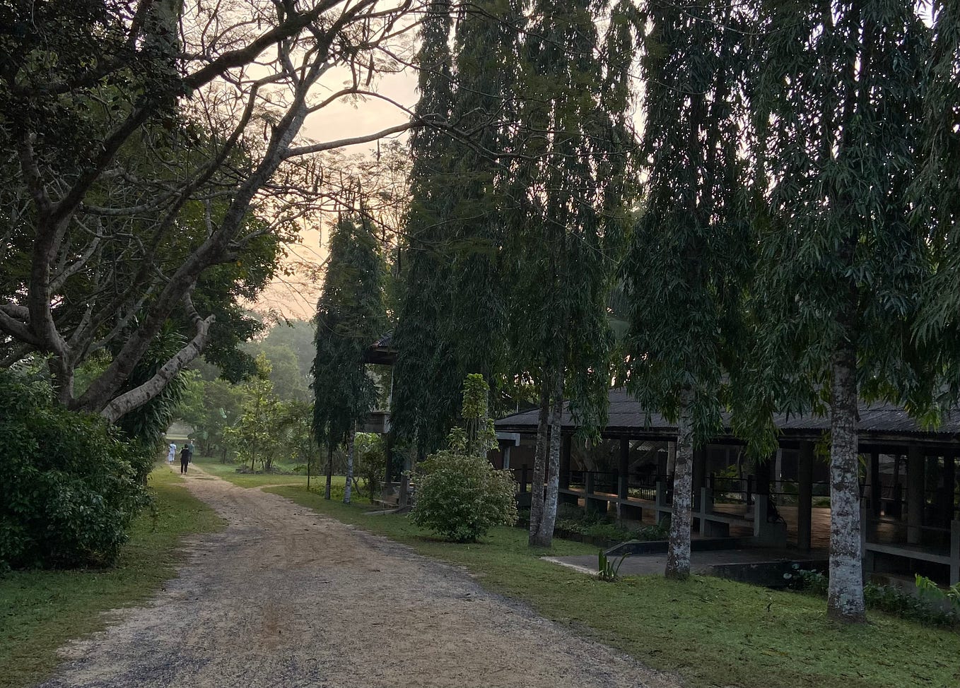 Vipassana retreat at Suan Mokkh. Part 2 | by Tamara Ilia | Apr, 2024 ...