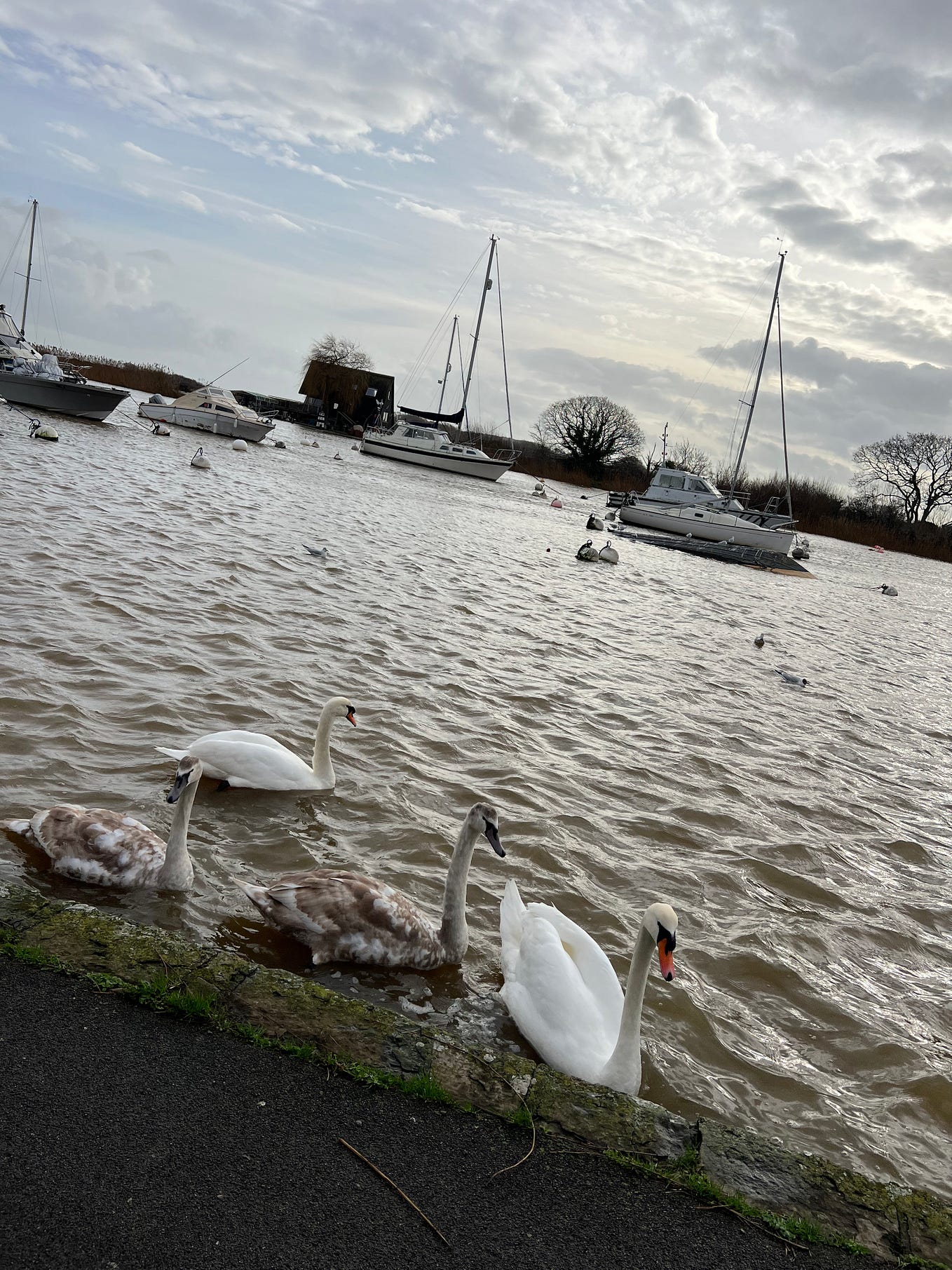 New chapters. My new chapters begin now, but where do… | by Macey | Medium