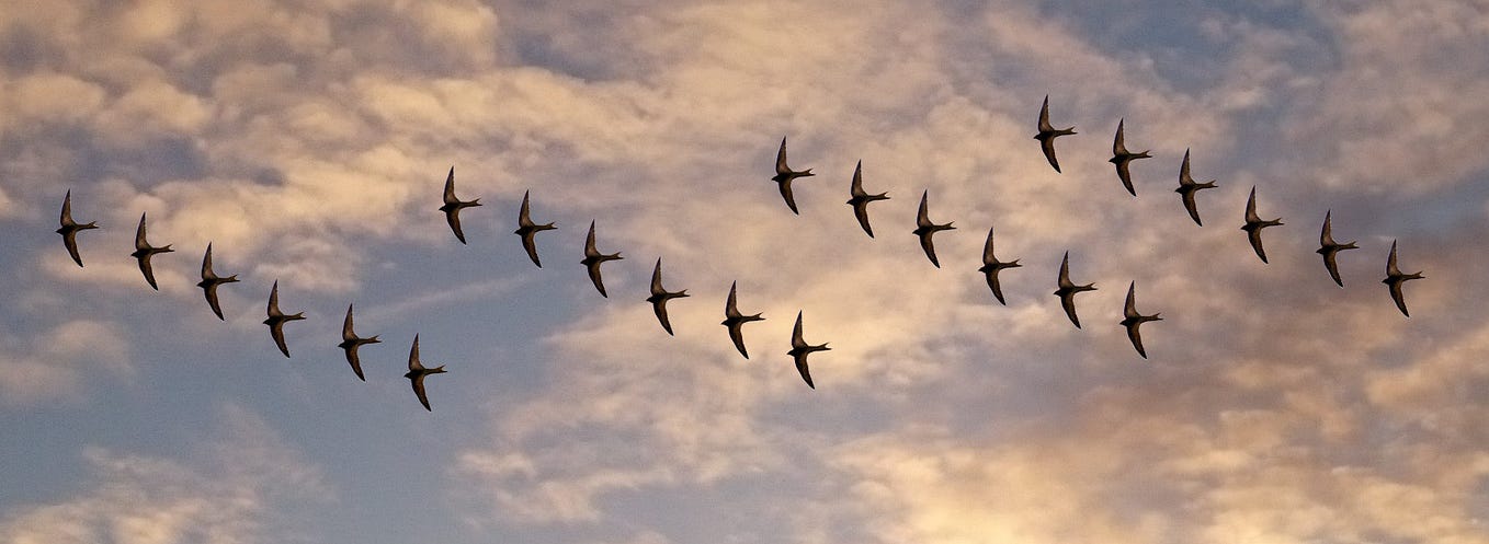 The Extensive Guide To Creating Streams In Rxjs By Oliver Flaggl Angular In Depth Medium