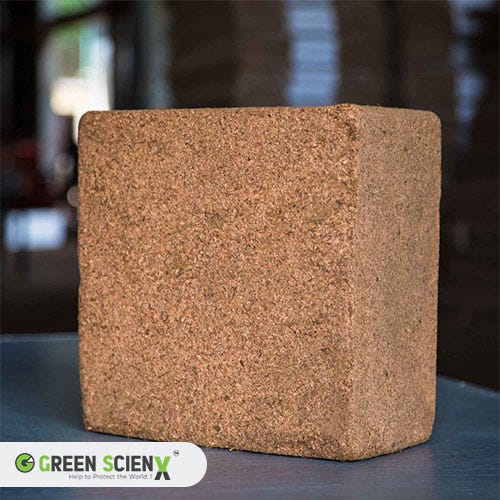 Unlocking the Potential of Green ScienX’s Premium Coco Peat: The ...
