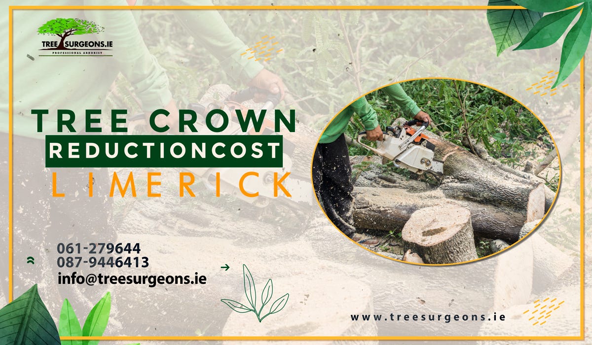 Professional tree stump removal service: The Ultimate Guide | by Tree ...