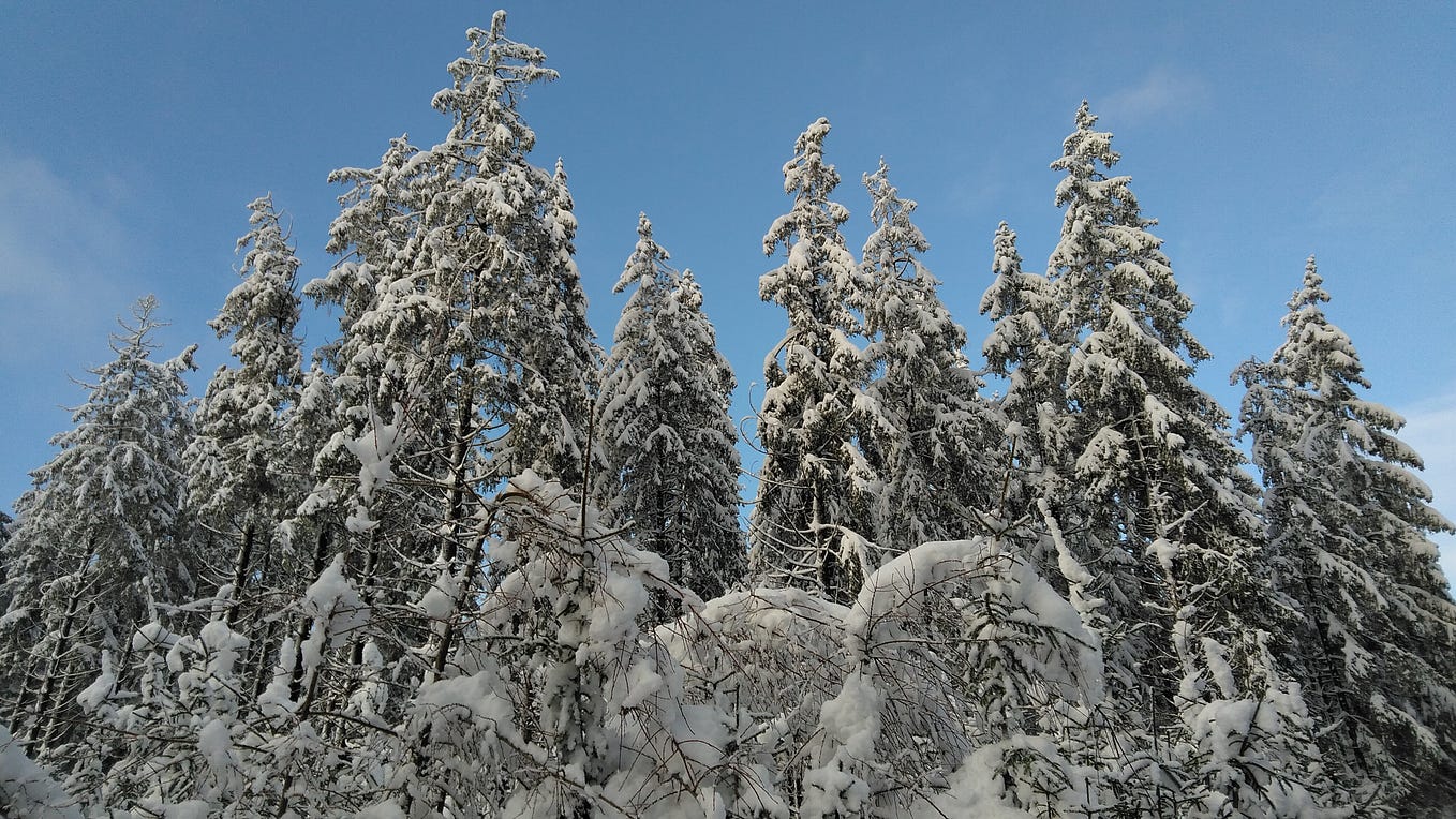 Developing a Weather Model with Machine Learning in Python | by Maarten ...