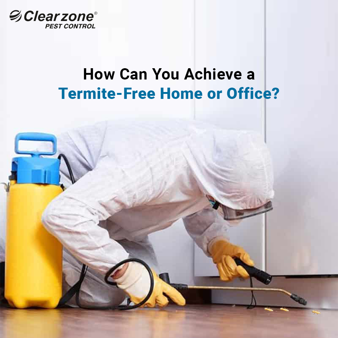 How to Protect Your Home from Bees and Wasps: Honeycomb Removal Service ...
