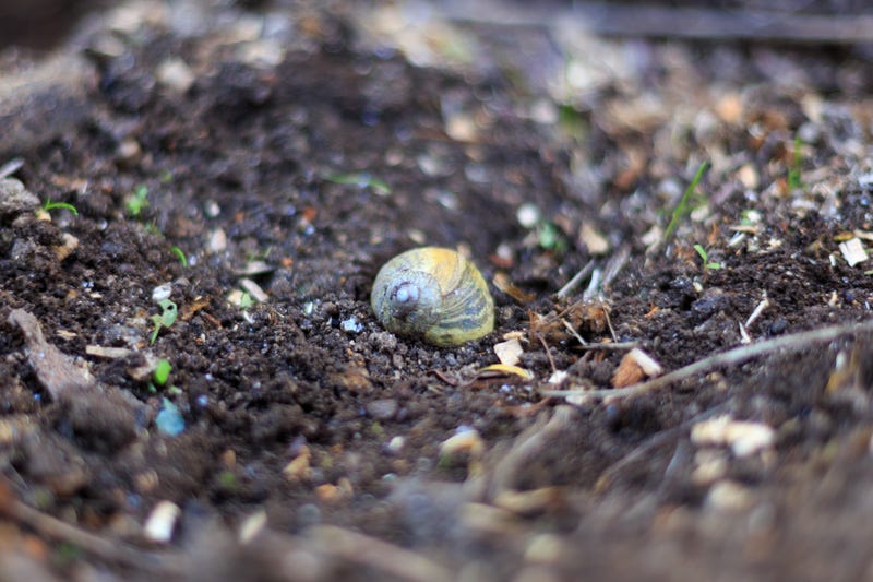 Scale-up MySQL NDB Cluster 8.0.26 to +1.5M QPS the easy way with AMD ...