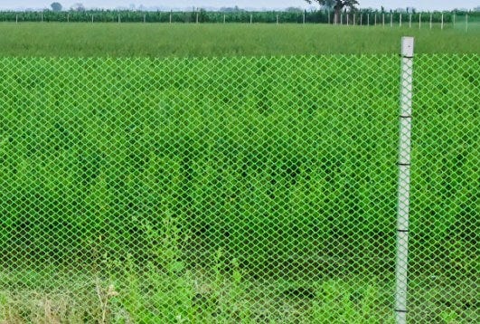 Green Net for Construction: Why It’s Essential for Builders | by ...