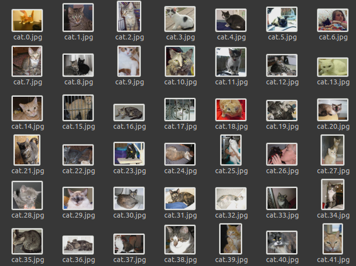 自己訓練 CNN 來進行 Image Classification (Pytorch) | by ExcitedMail | SWF Lab ...