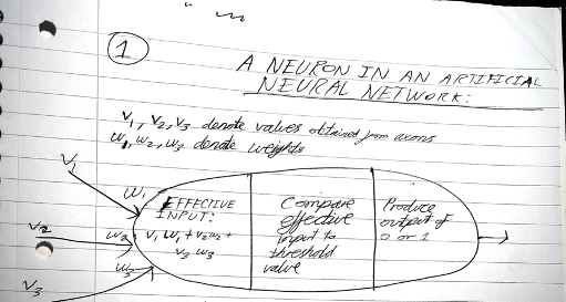 Decoding AI perception — from solving complex puzzles to deciphering 3D ...