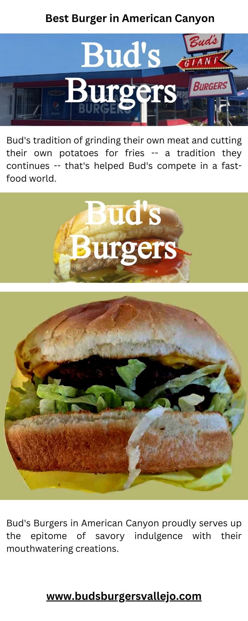 Savoring the Savory: Unveiling the Best Burger in Vallejo at Bud’s ...