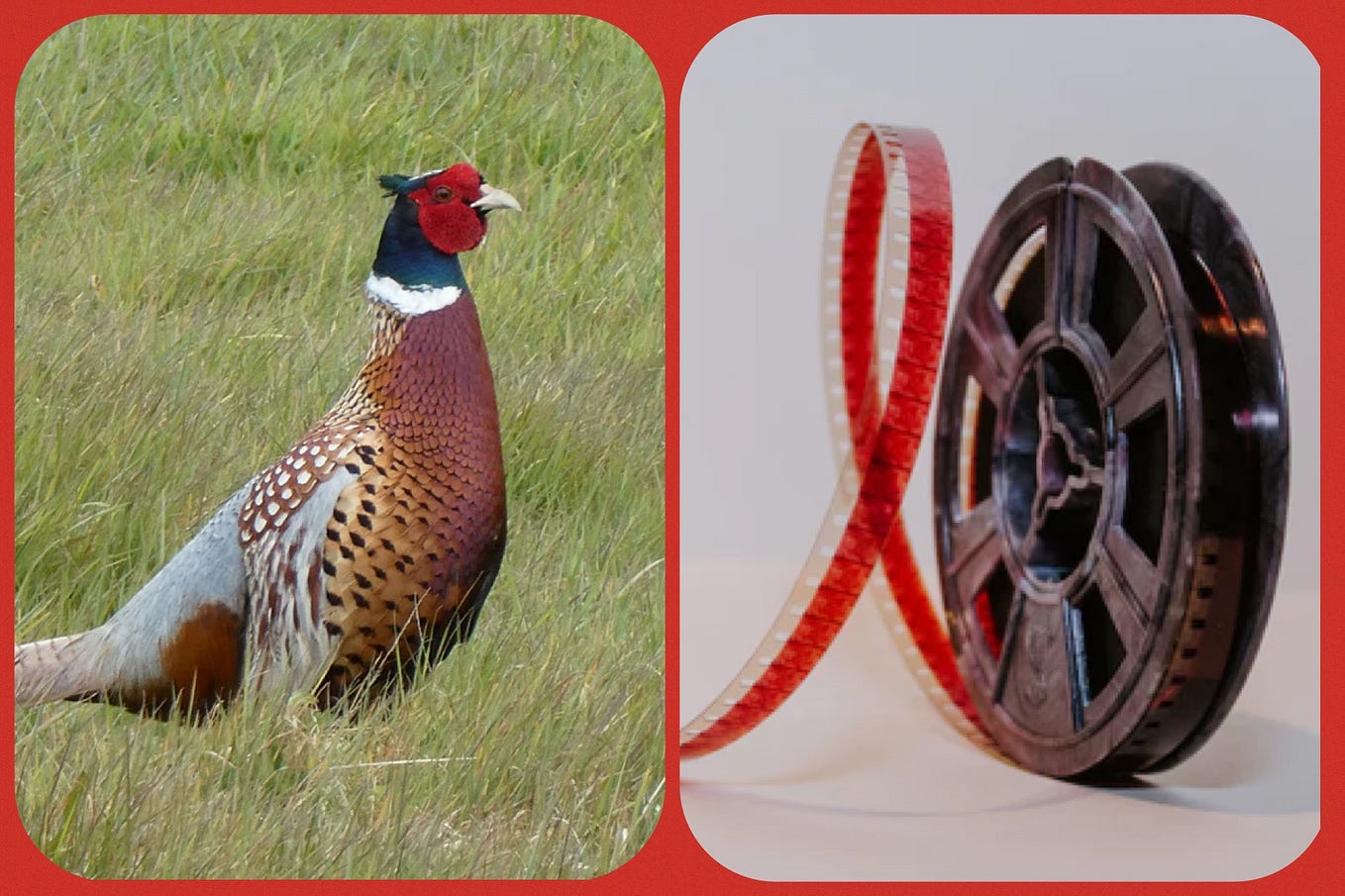 THE DYNAMICS OF GREAT TEAMWORK. By Nick Fewings, Teamologist | by Nick ...