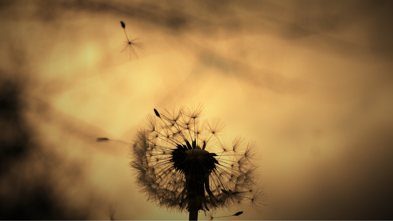 Rejection // Original Poetry - P.O.E.T. (Poetry of Emotional ...