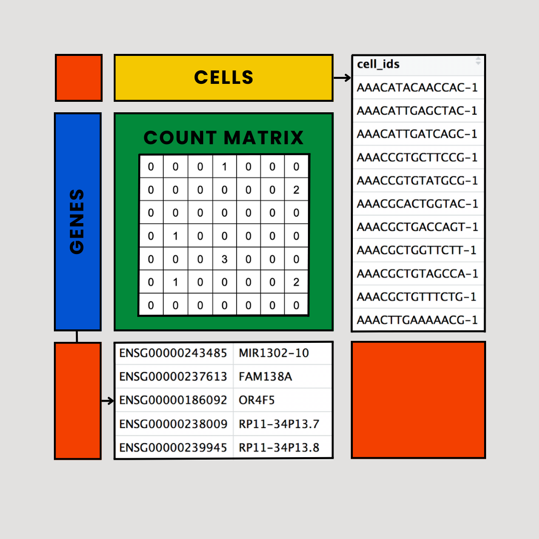 spaCy vs. NLTK: Which Tokenizer Should You Use? | by Britney | BeepBoop.IO | Jun, 2025 | Medium