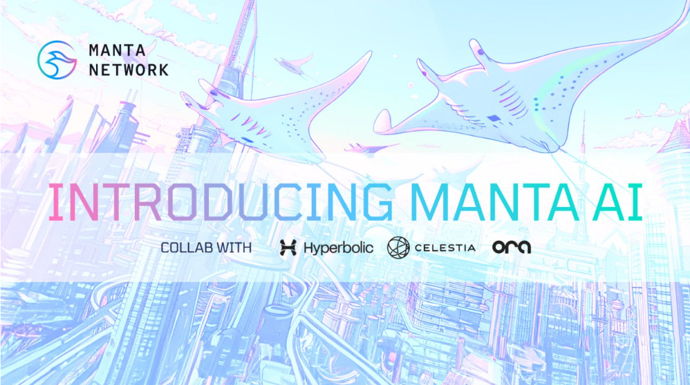 Manta Universal Circuits. Manta Network’un Evrensel Devreleri… | by ...